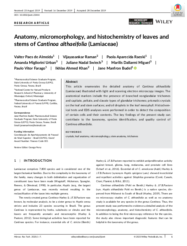 (PDF) Anatomy, micromorphology, and histochemistry of leaves and stems of Cantinoa althaeifolia ...