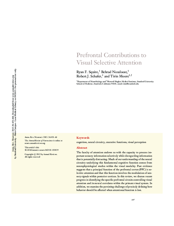 (PDF) Prefrontal Contributions to Visual Selective Attention