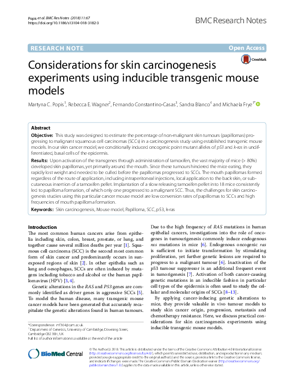 (PDF) Considerations for skin carcinogenesis experiments using ...