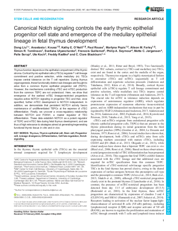 (PDF) Canonical Notch signaling controls the early thymic epithelial ...