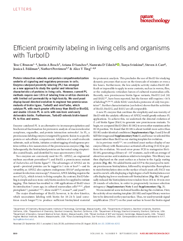 (PDF) Efficient proximity labeling in living cells and organisms with ...