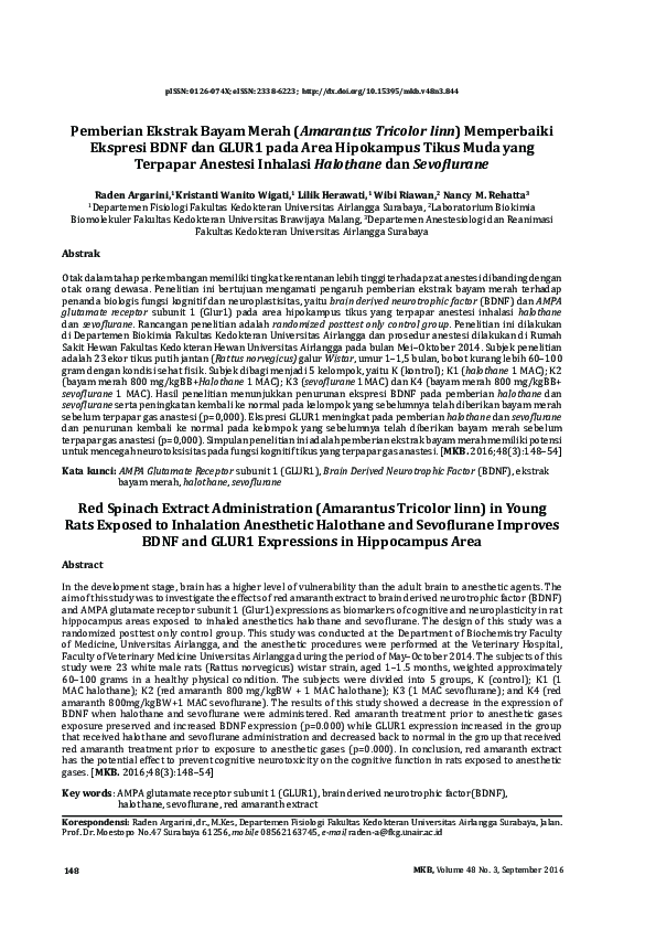 (PDF) Pemberian Ekstrak Bayam Merah (Amarantus Tricolor linn ...