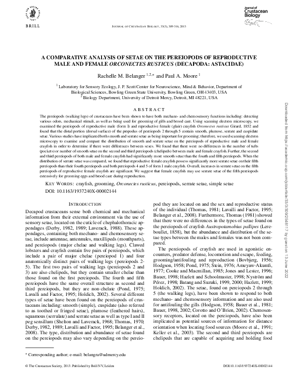 (PDF) A comparative analysis of setae on the pereiopods of reproductive ...