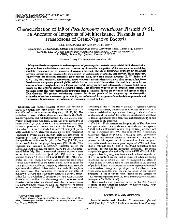 (PDF) Characterization of In0 of Pseudomonas aeruginosa plasmid pVS1 ...