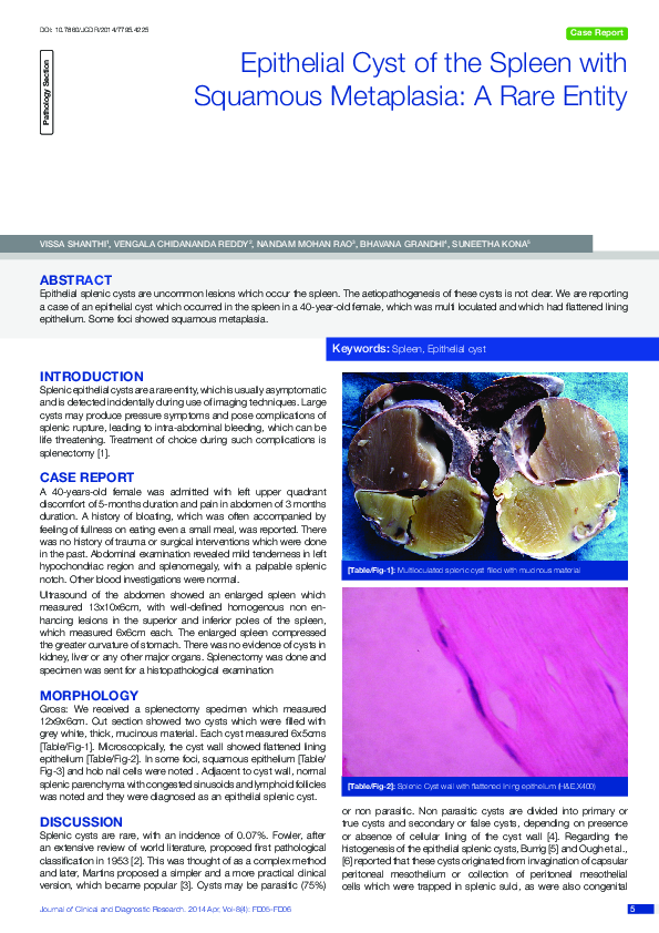 (PDF) Epithelial Cyst of the Spleen with Squamous Metaplasia: A Rare Entity