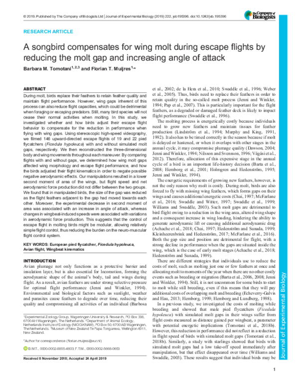 (PDF) A songbird compensates for wing molt during escape flights by ...