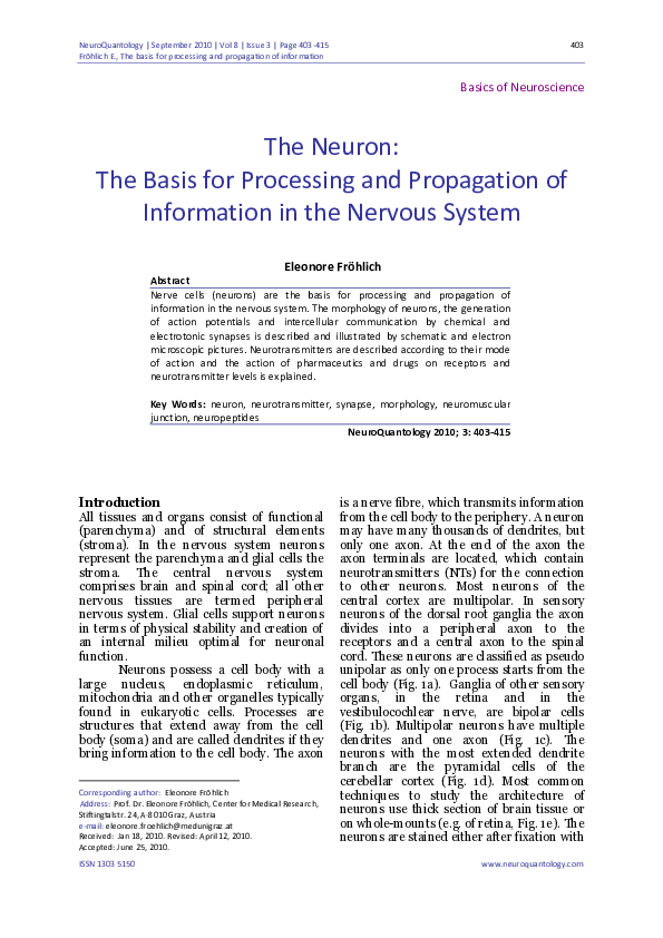(PDF) The Neuron: The Basis for Processing and Propagation of Information in The Nervous System