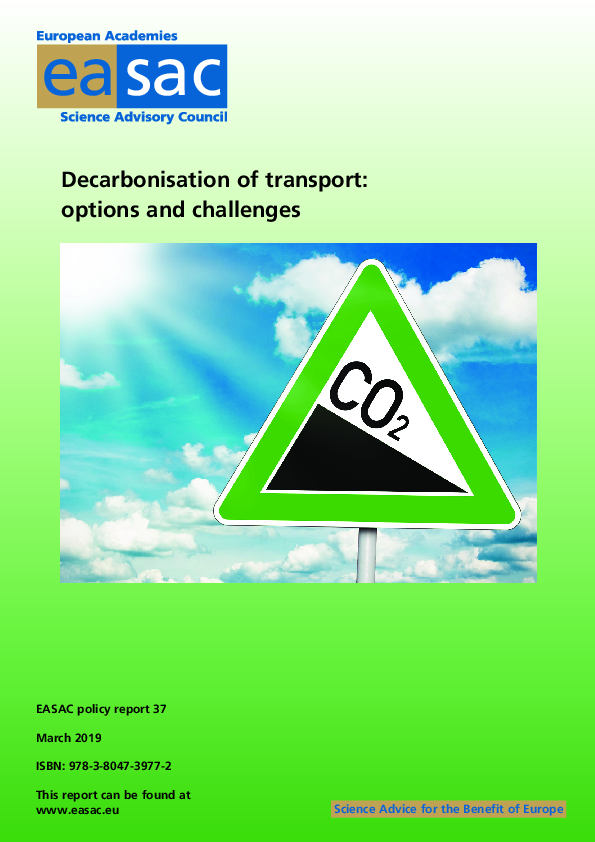 (PDF) Decarbonisation of transport: options and challenges