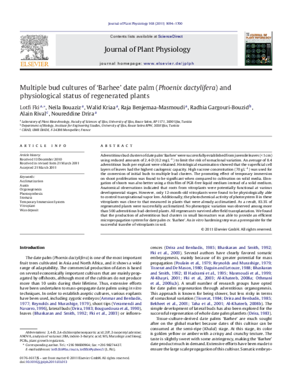 (PDF) Multiple bud cultures of ‘Barhee’ date palm (Phoenix dactylifera ...