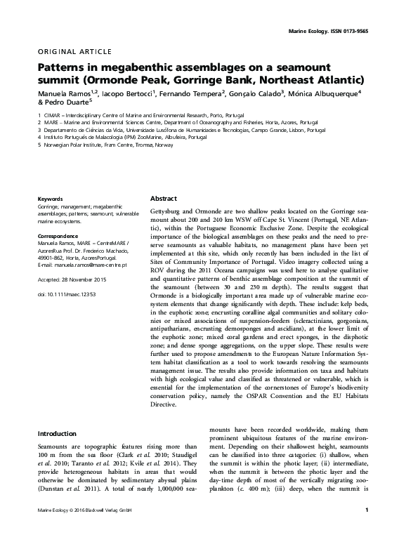 (PDF) Patterns in megabenthic assemblages on a seamount summit (Ormonde ...