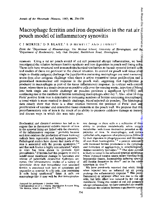 (PDF) Macrophage ferritin and iron deposition in the rat air pouch ...