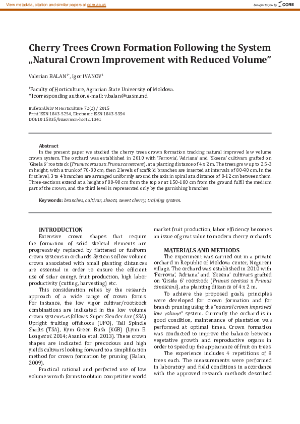 (PDF) Cherry Trees Crown Formation Following the System „Natural Crown ...