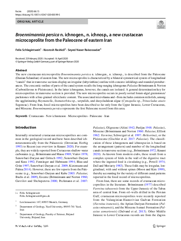 (PDF) Broennimannia persica n. ichnogen., n. ichnosp., a new crustacean ...