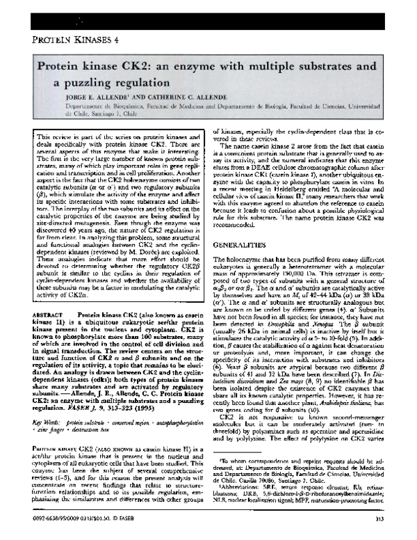 (PDF) Protein kinase CK2: an enzyme with multiple substrates and a ...
