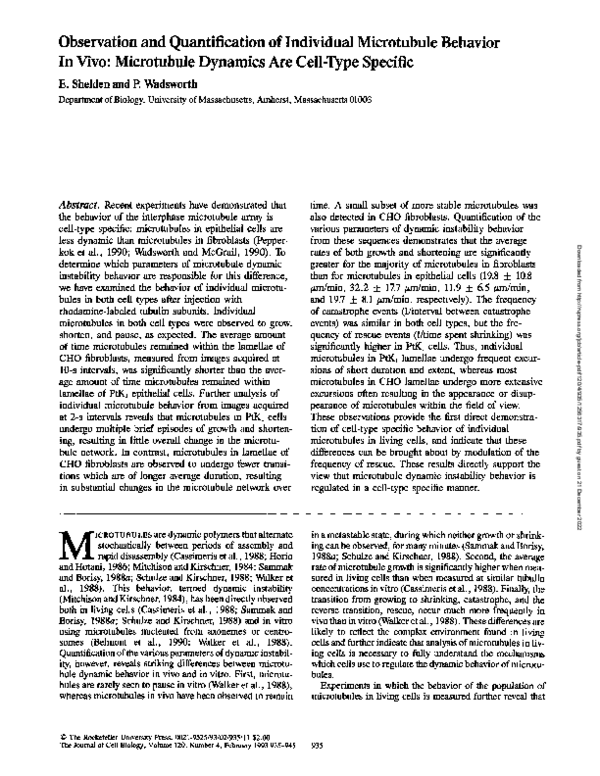 (PDF) Observation and quantification of individual microtubule behavior in vivo: microtubule ...