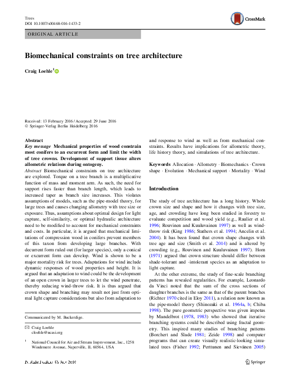 (PDF) Biomechanical constraints on tree architecture