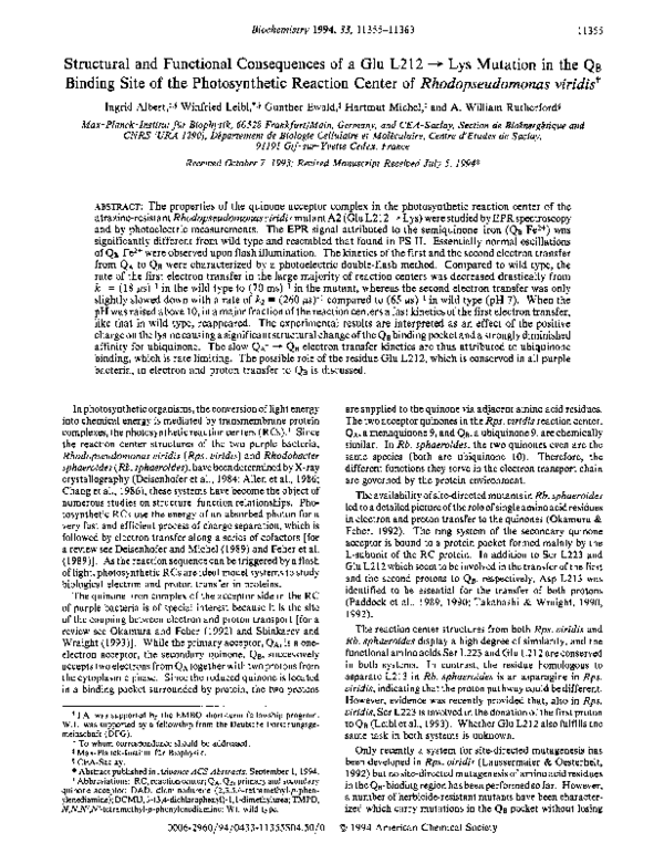 (PDF) Structural and Functional Consequences of a Glu L212 .fwdarw. Lys ...