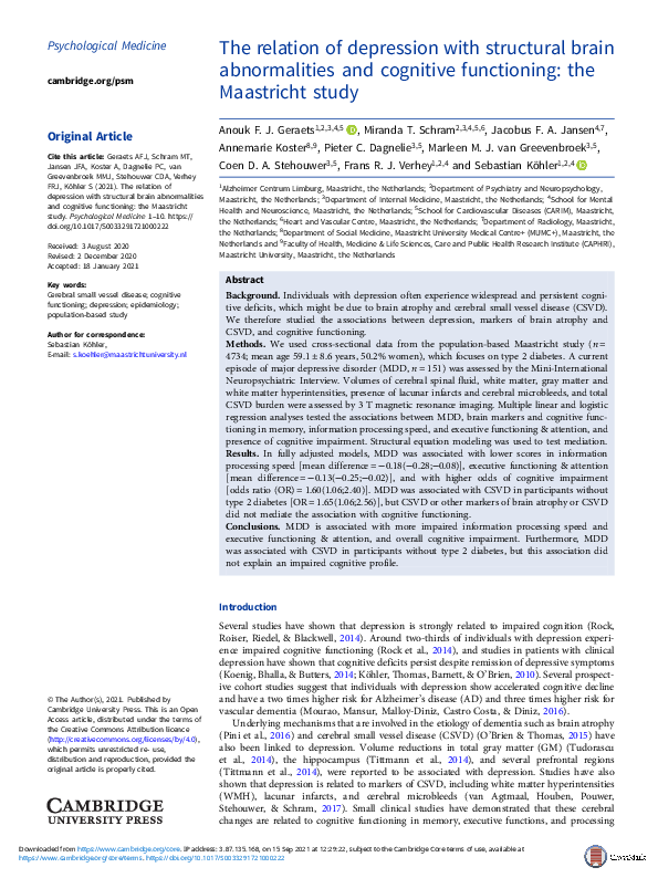 (PDF) The relation of depression with structural brain abnormalities ...