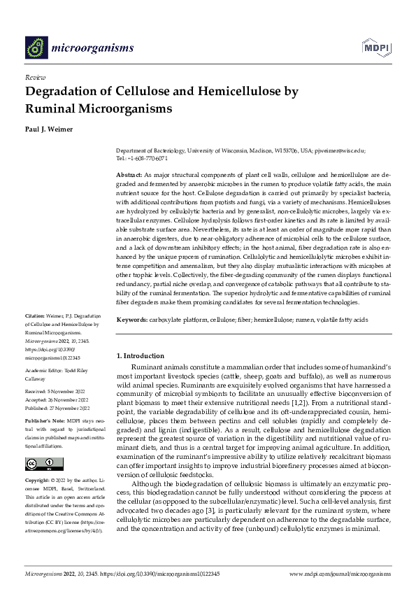 Degradation of Cellulose and Hemicellulose by Ruminal Microorganisms