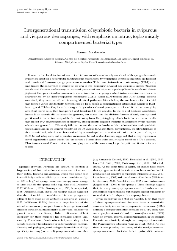 (PDF) Intergenerational transmission of symbiotic bacteria in oviparous and viviparous ...