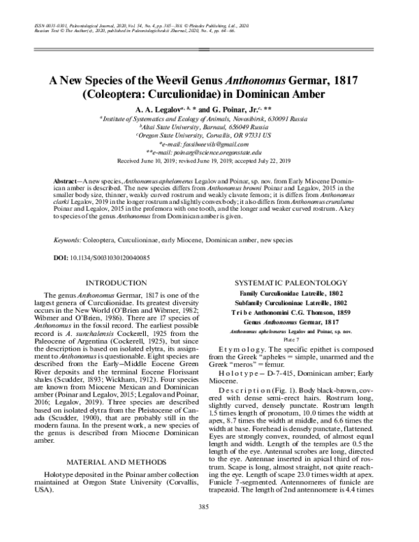 (PDF) A New Species of the Weevil Genus Anthonomus Germar, 1817 ...