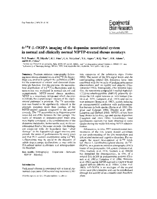(PDF) 6-18F-L-DOPA imaging of the dopamine neostriatal system in normal ...