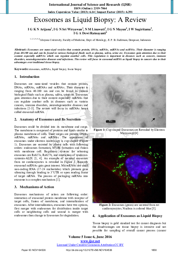 (PDF) Exosomes as Liquid Biopsy: A Review