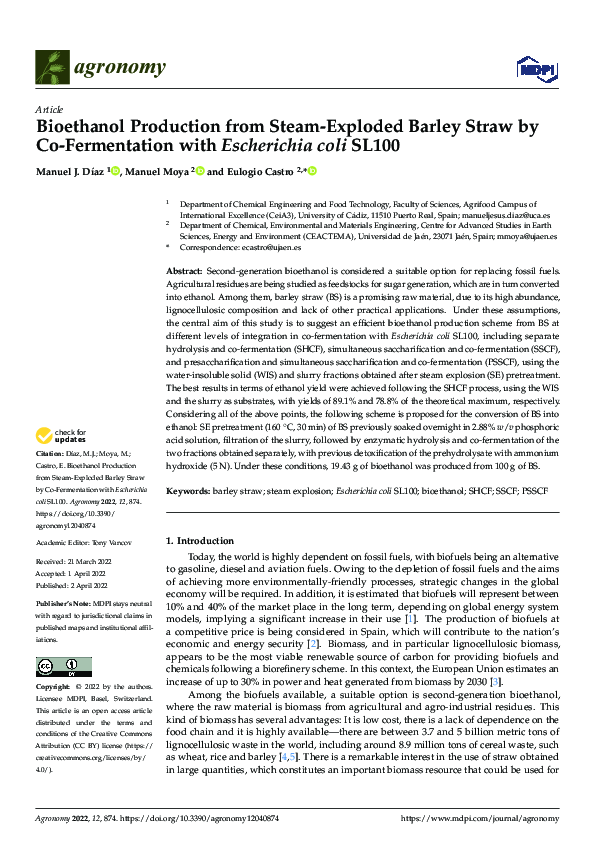 (PDF) Bioethanol Production from Steam-Exploded Barley Straw by Co ...