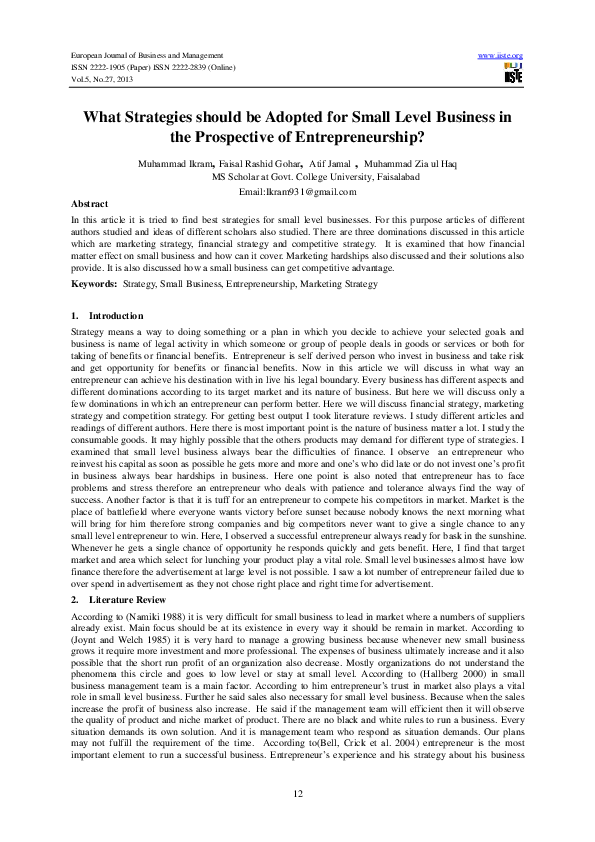 (PDF) What Strategies should be Adopted for Small Level Business in the ...
