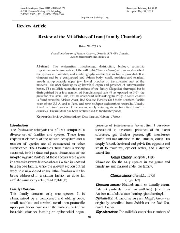 (PDF) Review of the Milkfishes of Iran (Family Chanidae)