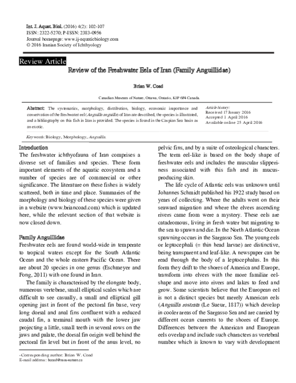 (PDF) Review of the Freshwater Eels of Iran (Family Anguillidae)