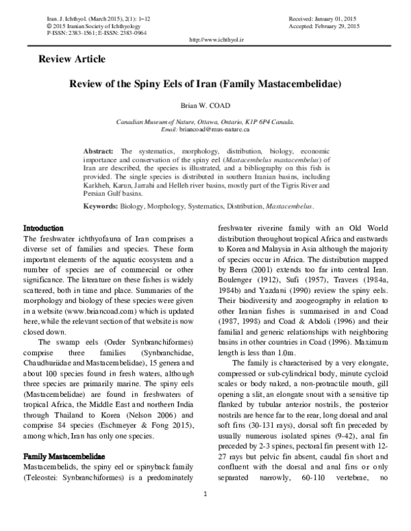 (PDF) Review of the Spiny Eels of Iran (Family Mastacembelidae)