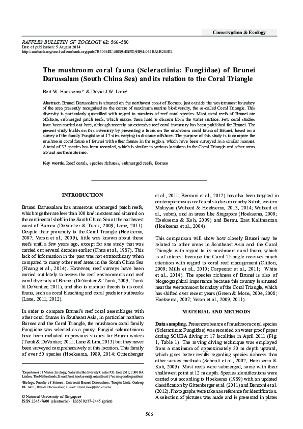 (PDF) The mushroom coral fauna (Scleractinia: Fungiidae) of Brunei ...