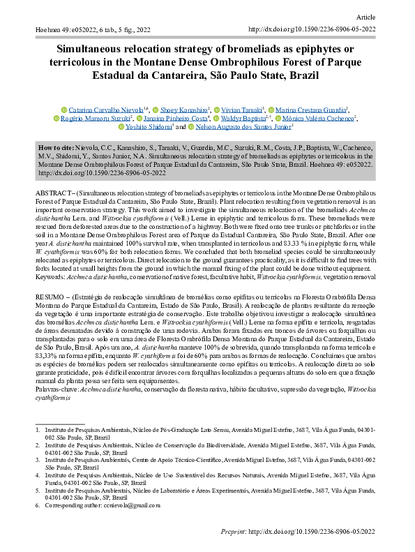 (PDF) Simultaneous relocation strategy of bromeliads as epiphytes or ...