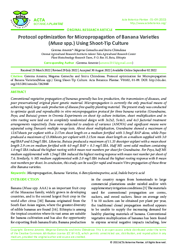 Pdf Protocol Optimization For Micropropagation Of Banana Varieties Musa Spp Using Shoot Tip