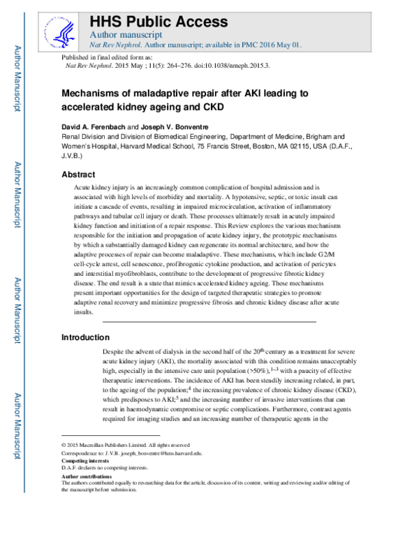 (PDF) Mechanisms of maladaptive repair after AKI leading to accelerated ...