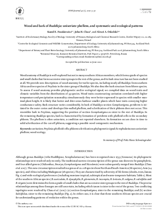 (PDF) Wood and bark of Buddleja: uniseriate phellem, and systematic and ...