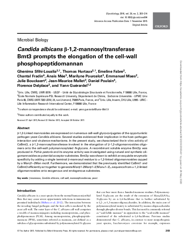 (PDF) Bmt3 in Candida albicans Enhances Cell-Wall Mannoside Elongation