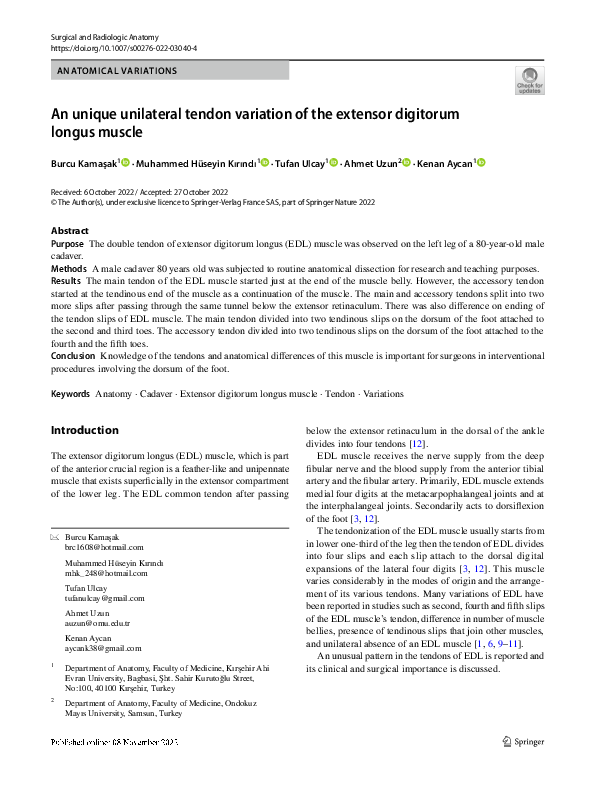 (PDF) An unique unilateral tendon variation of the extensor digitorum ...