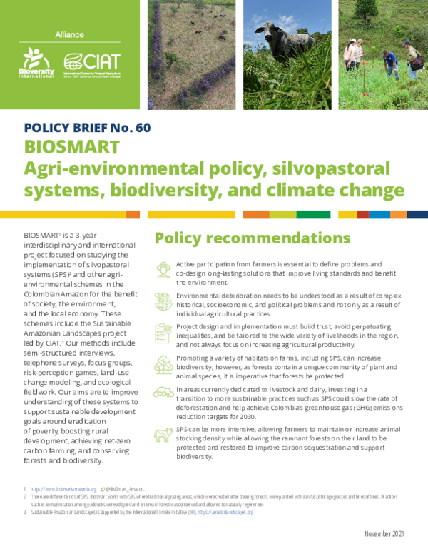 (PDF) BIOSMART Agri-environmental policy, silvopastoral systems ...