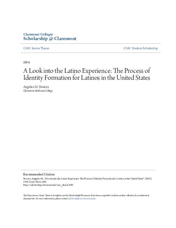 (PDF) A Look into the Latino Experience: The Process of Identity ...