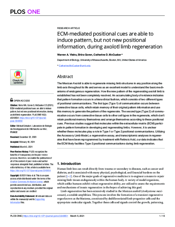 (PDF) ECM-mediated positional cues are able to induce pattern, but not ...