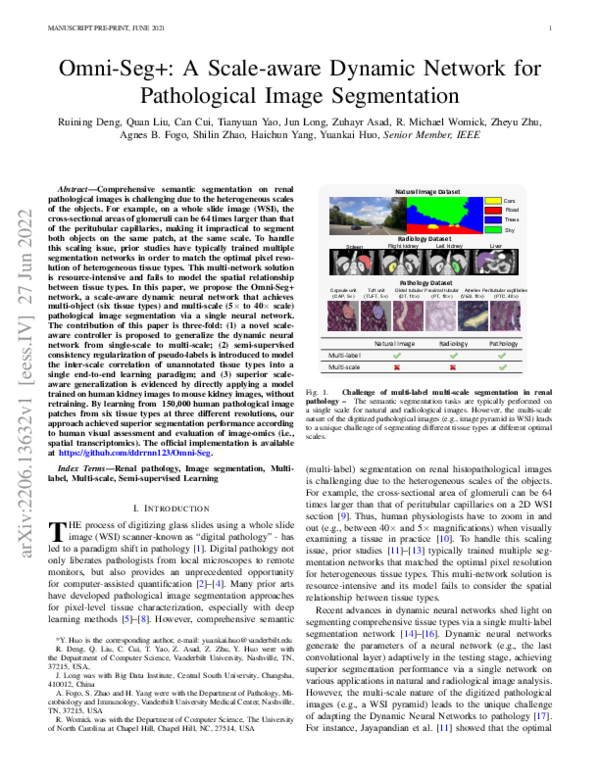 (PDF) Omni-Seg+: A Scale-aware Dynamic Network for Pathological Image ...