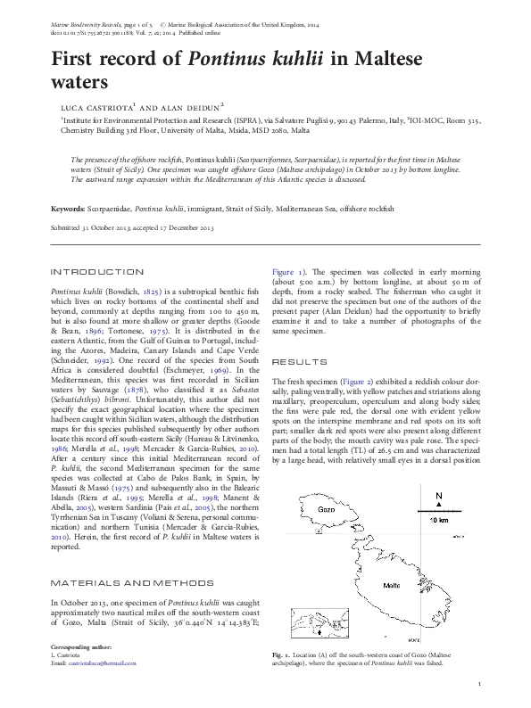 (PDF) First record of Pontinus kuhlii in Maltese waters