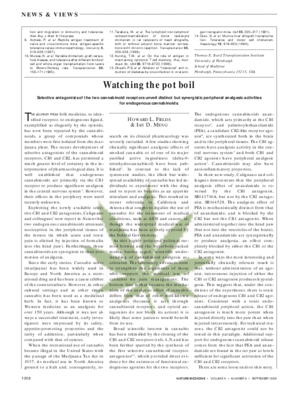 (PDF) Watching the pot boil