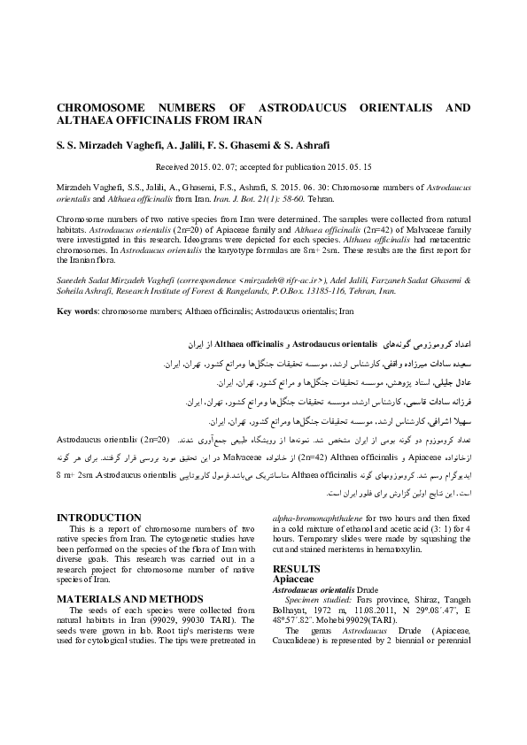 (PDF) Chromosome Numbers of Astrodaucus Orientalis and Althaea ...
