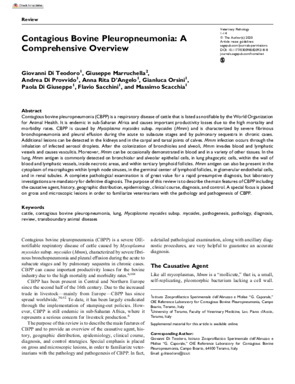 (PDF) Contagious Bovine Pleuropneumonia: A Comprehensive Overview