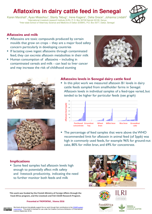 (PDF) Aflatoxins in dairy cattle feed in Senegal