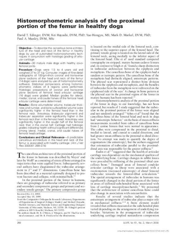 (PDF) Histomorphometric analysis of the proximal portion of the femur ...