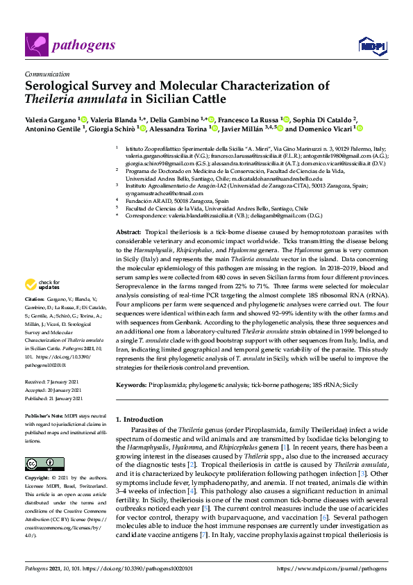 Pdf Serological Survey And Molecular Characterization Of Theileria